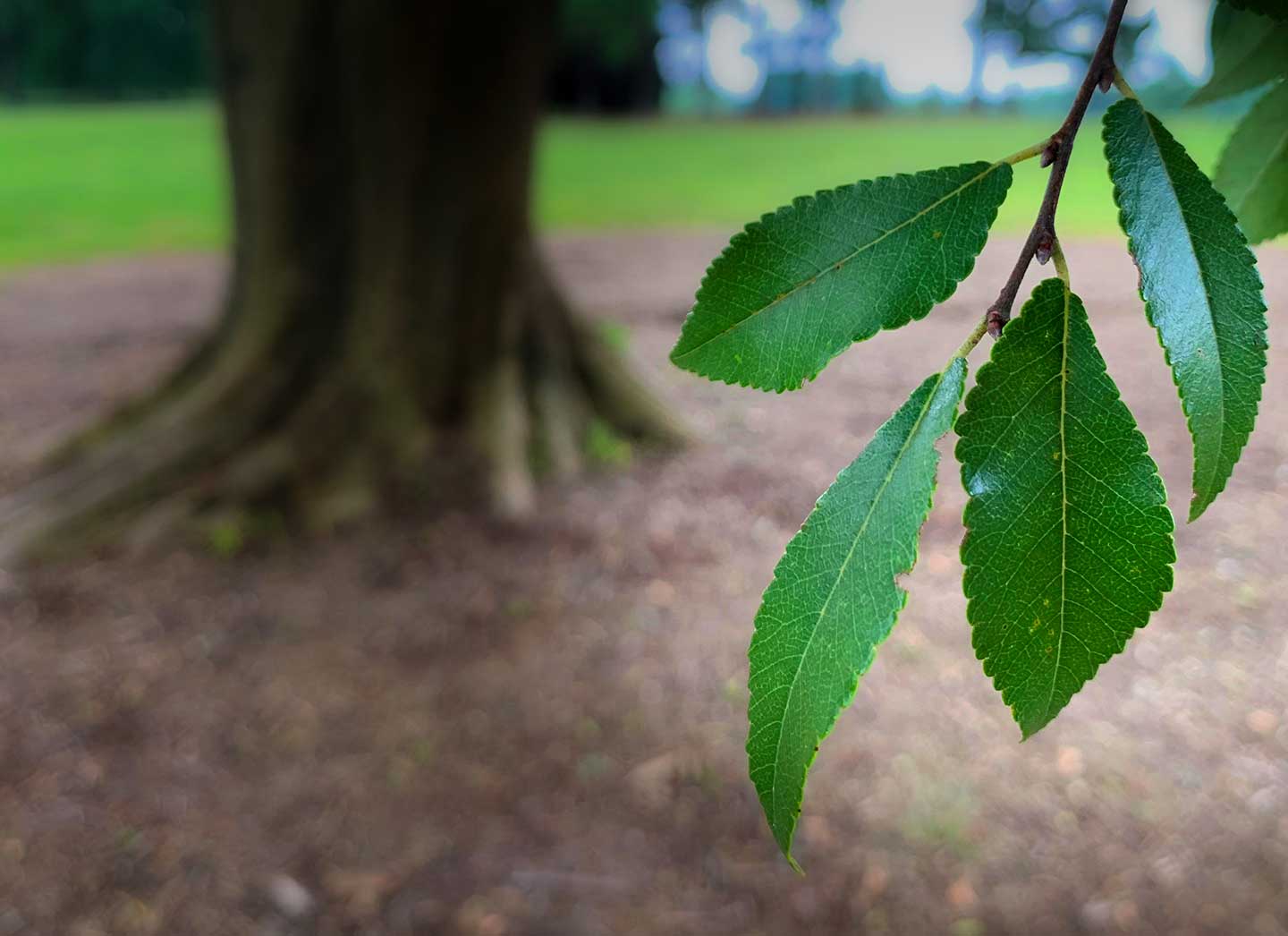 Milliken & Company, ein weltweit führender Hersteller | Milliken